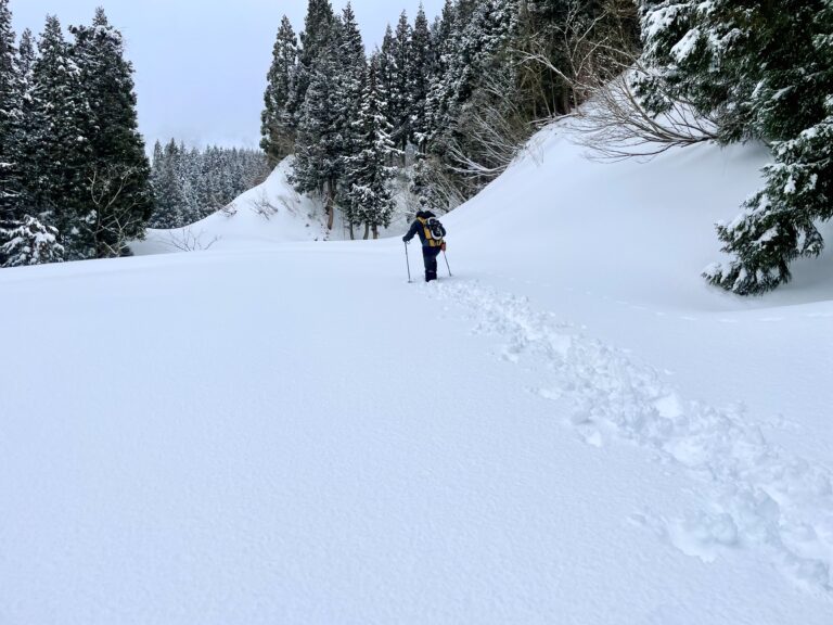 Snow Plak スノープラック｜きつねだこん